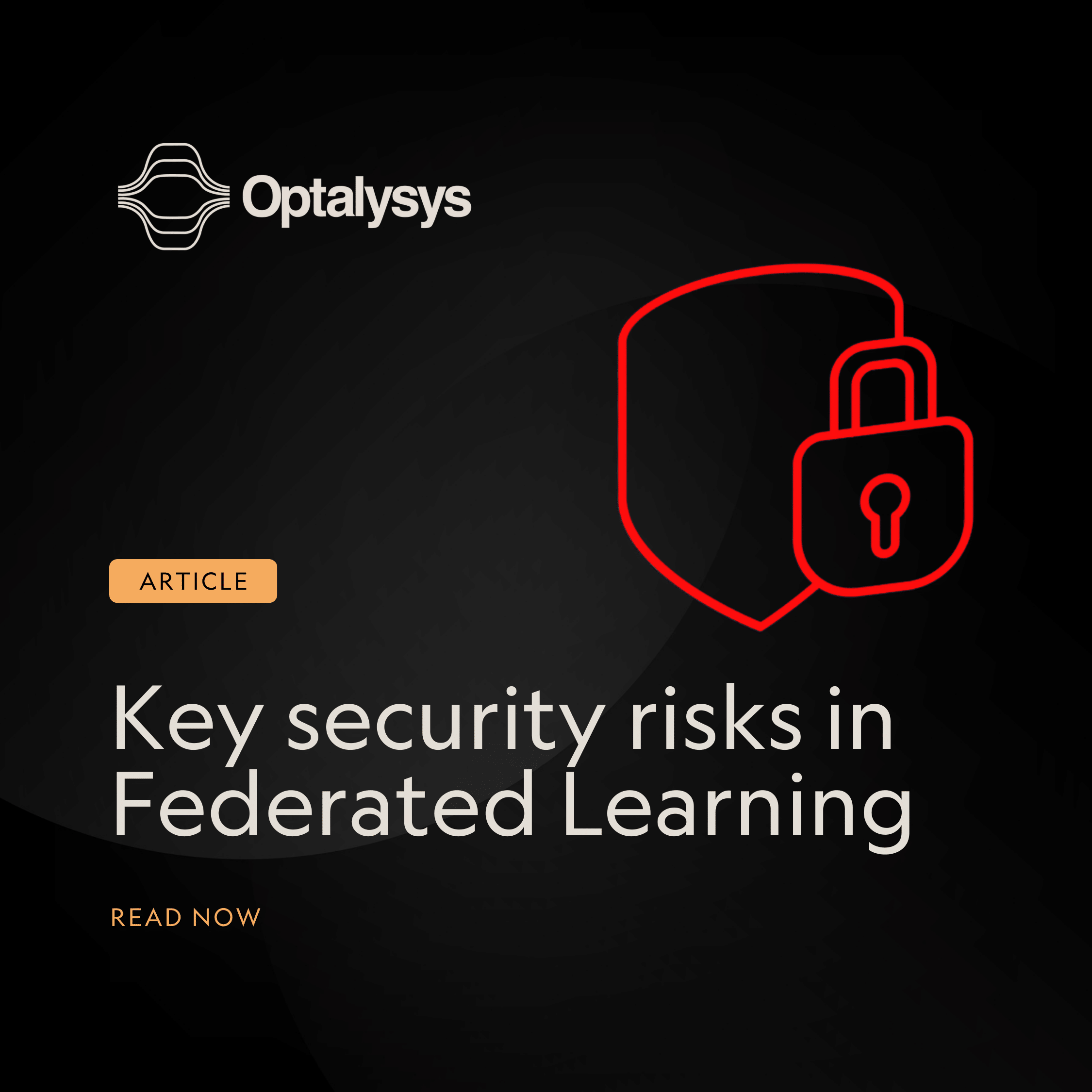 Key Security risks in federated learning - Optalysys